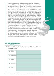 New Wave Literacy Skills Book E – Ages 9–10 | English | Year 4
